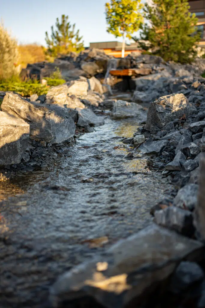 Gallery – Netley Creek Landscaping